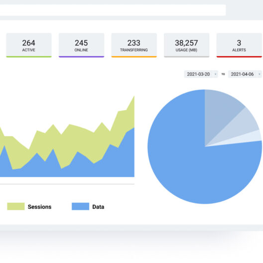 Connectivity Management Platform - Solve Networks
