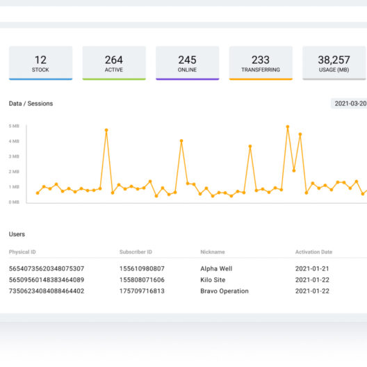 Connectivity Management Platform - Solve Networks